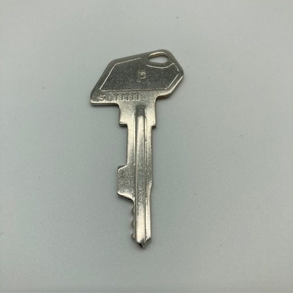 Sam4S 'P' Key